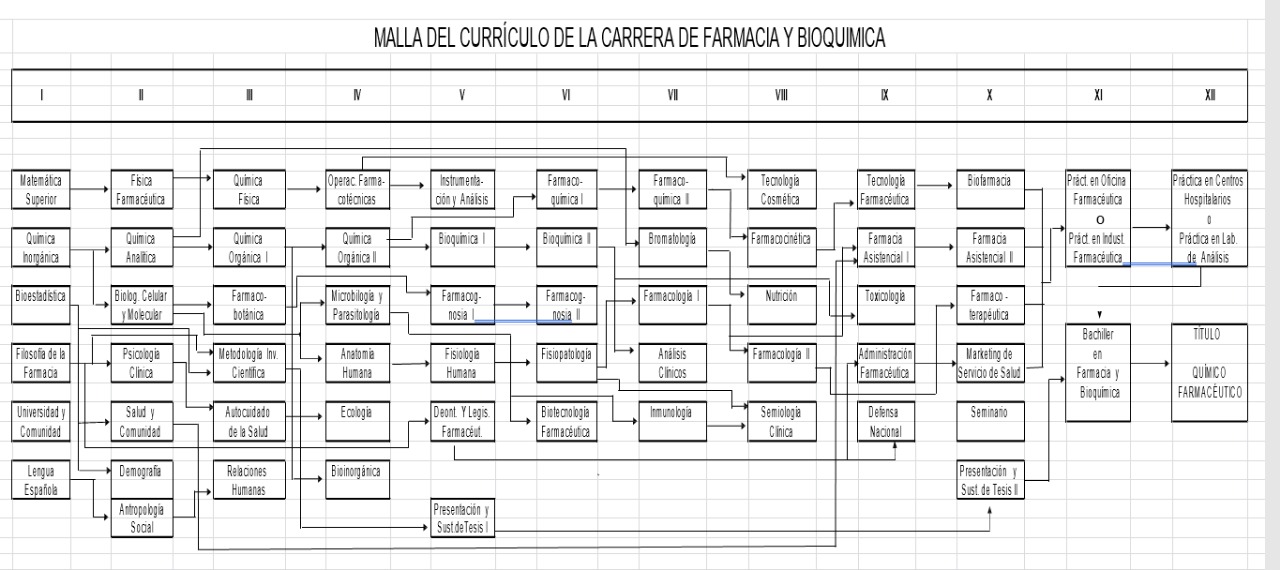 Malla Curricular | Facultad de Farmacia y Bioquímica